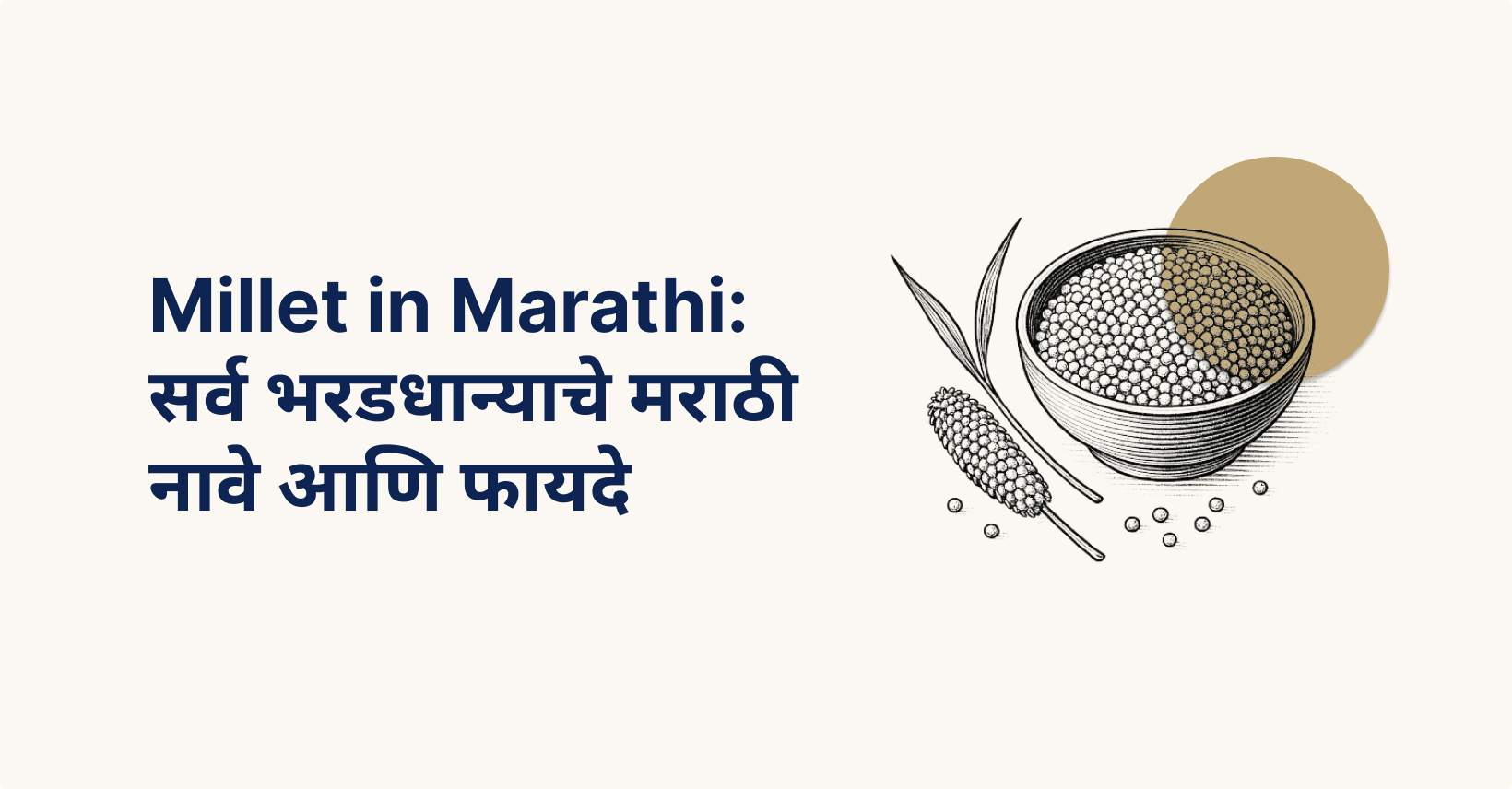 Millet in Marathi: सर्व भरडधान्यांचे मराठी नावे आणि फायदे